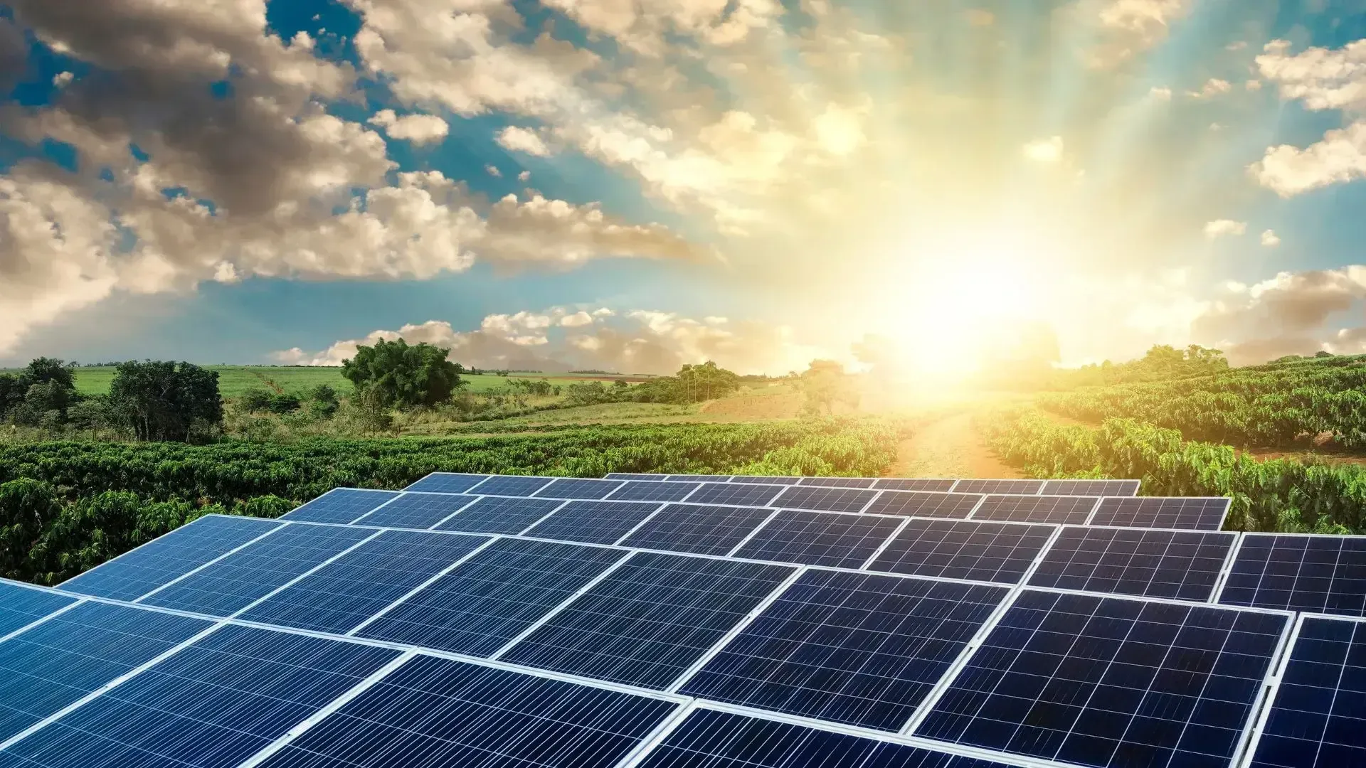 What is a Solar Panel? What is its Use? | Daxler Energy